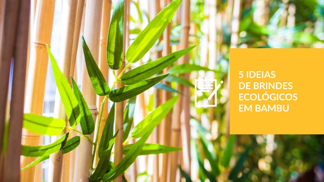 5 Ideias de Brindes Ecológicos em Bambu | Célo Presentes Corporativos